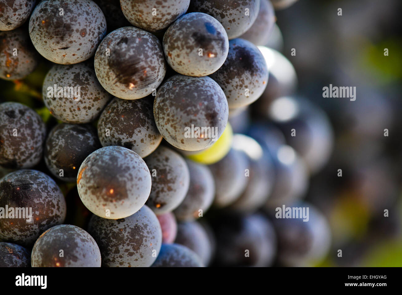 Valley of the balls hi-res stock photography and images - Alamy