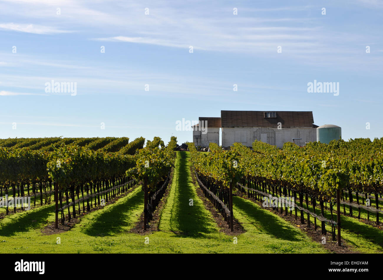Vineyard california barn hi-res stock photography and images - Alamy