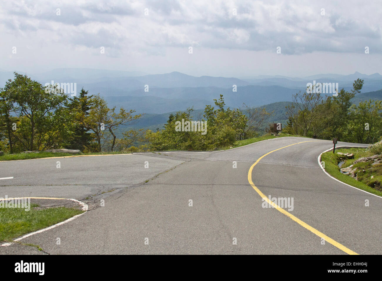 High branching hi-res stock photography and images - Alamy