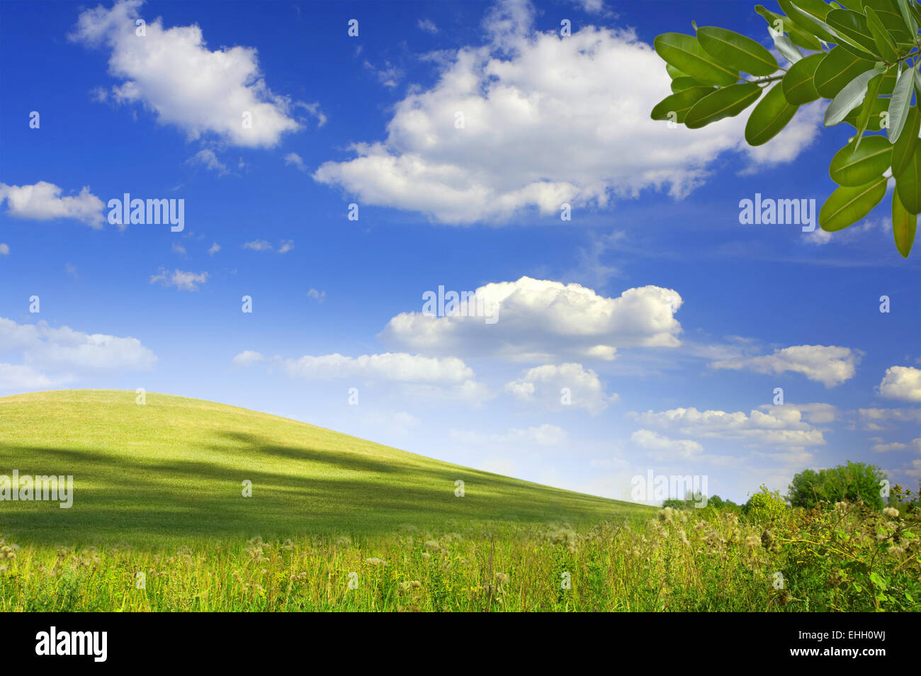view of nice green hill on blue sky background Stock Photo - Alamy
