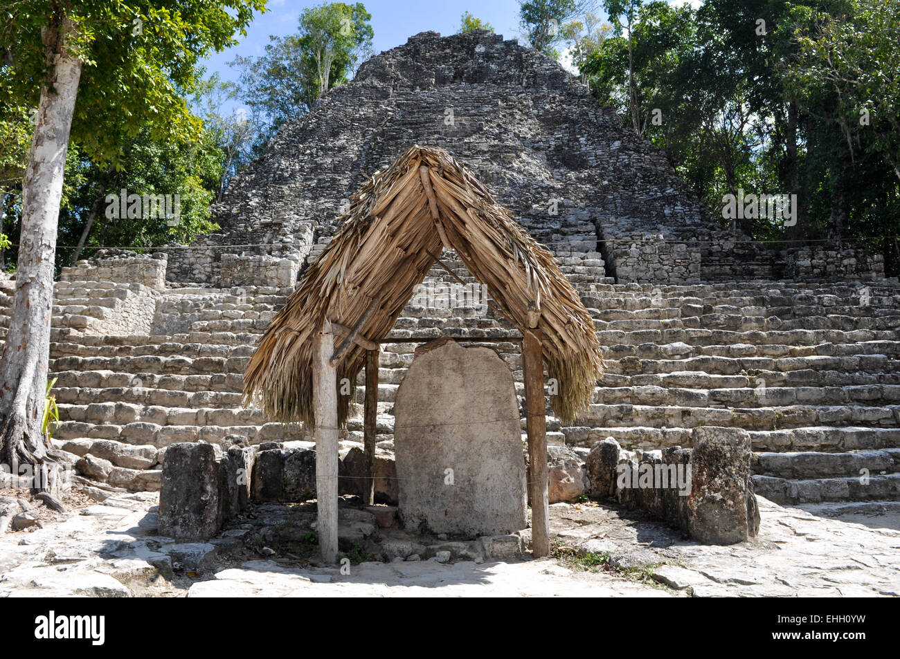 Coba Mayan Ruins near Cancun Mexico Stock Photo - Alamy