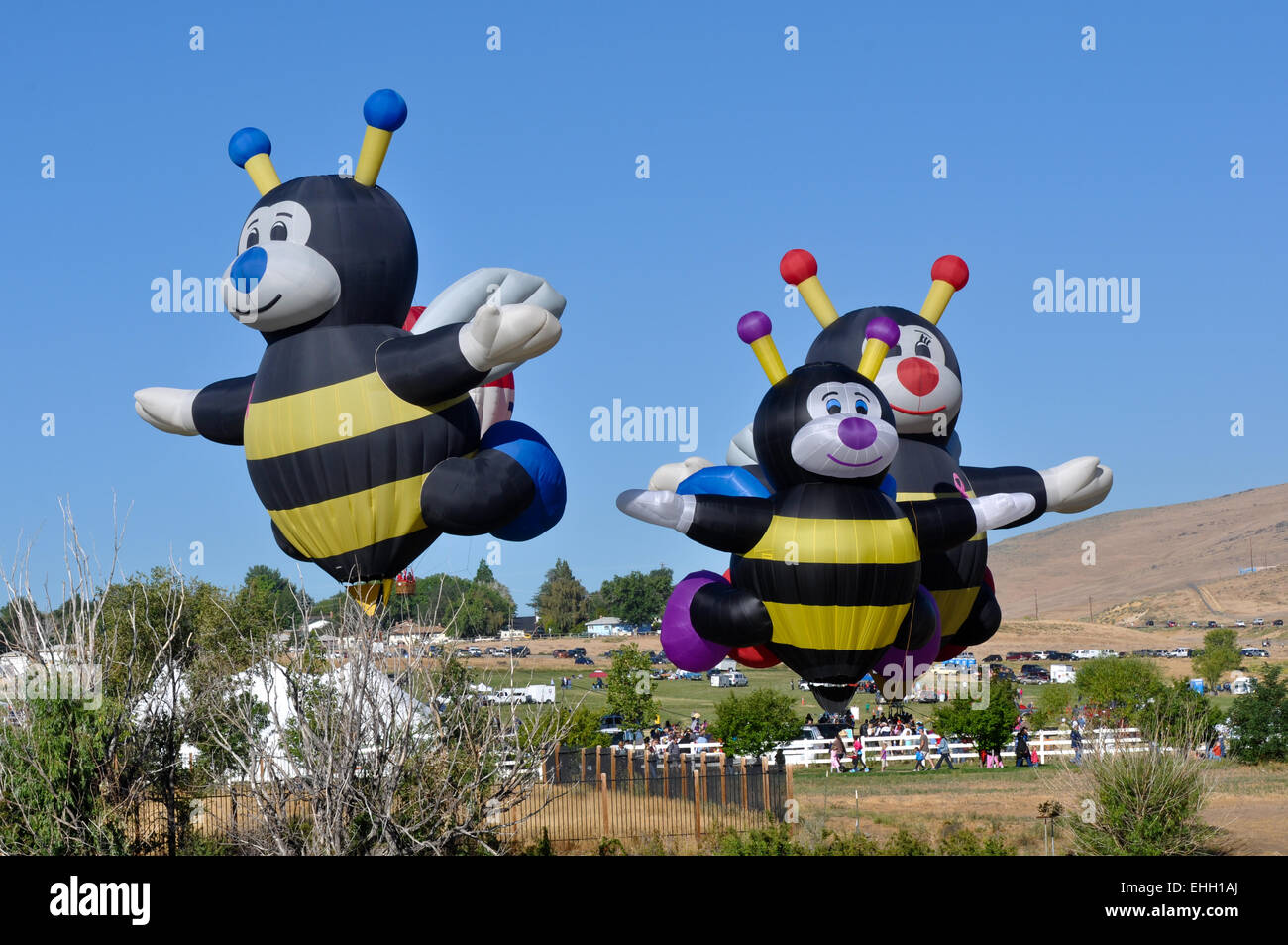 Honey Bee Balloons