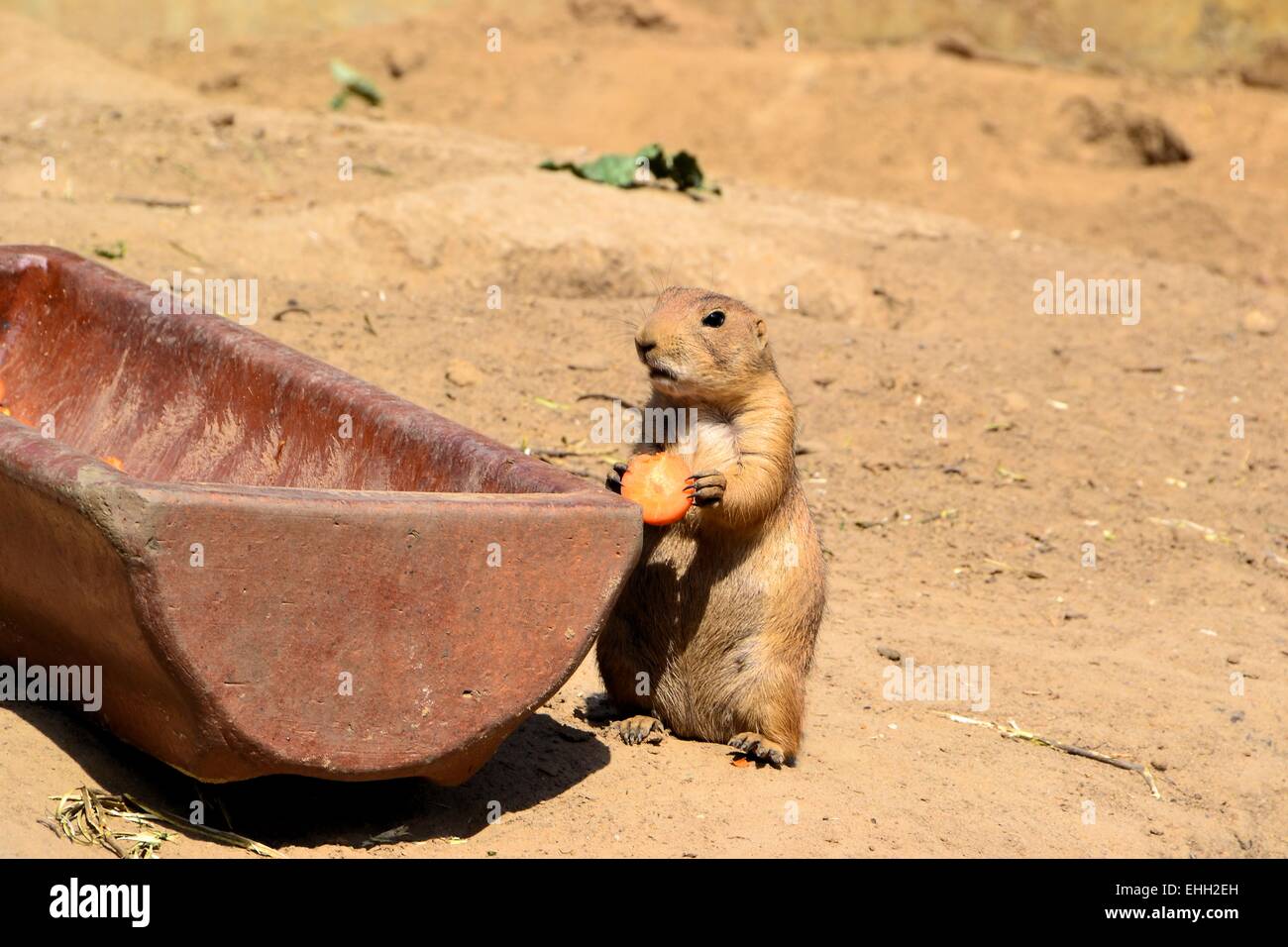 Prairie education hi-res stock photography and images - Alamy