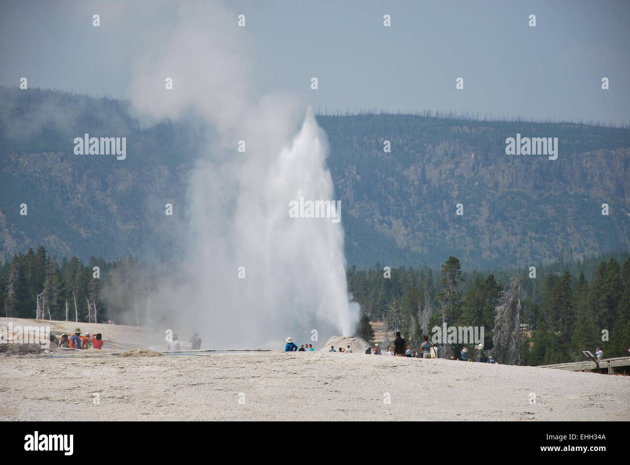 Yellow stone geysers hi-res stock photography and images - Alamy