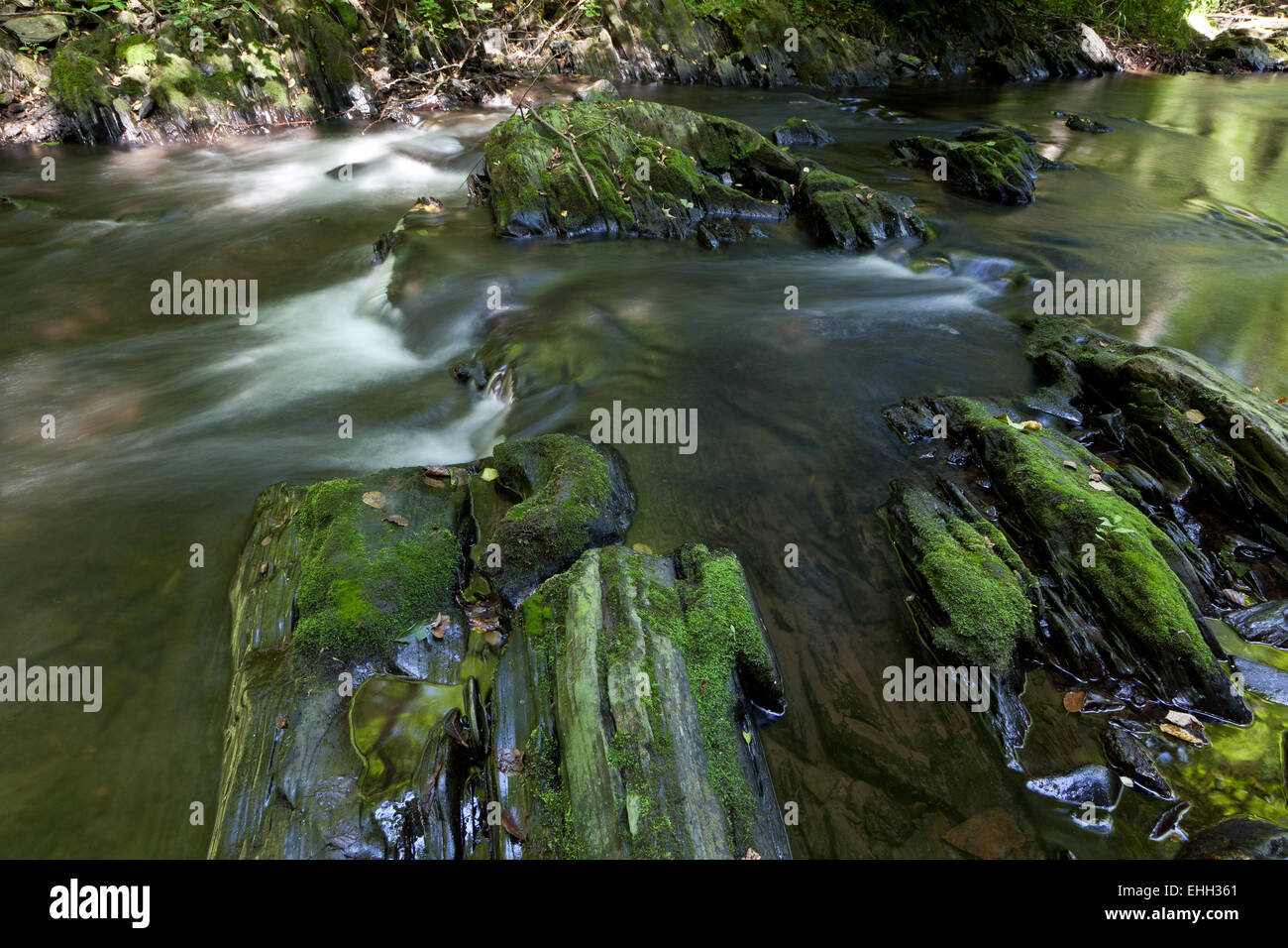 course of a stream Stock Photo - Alamy