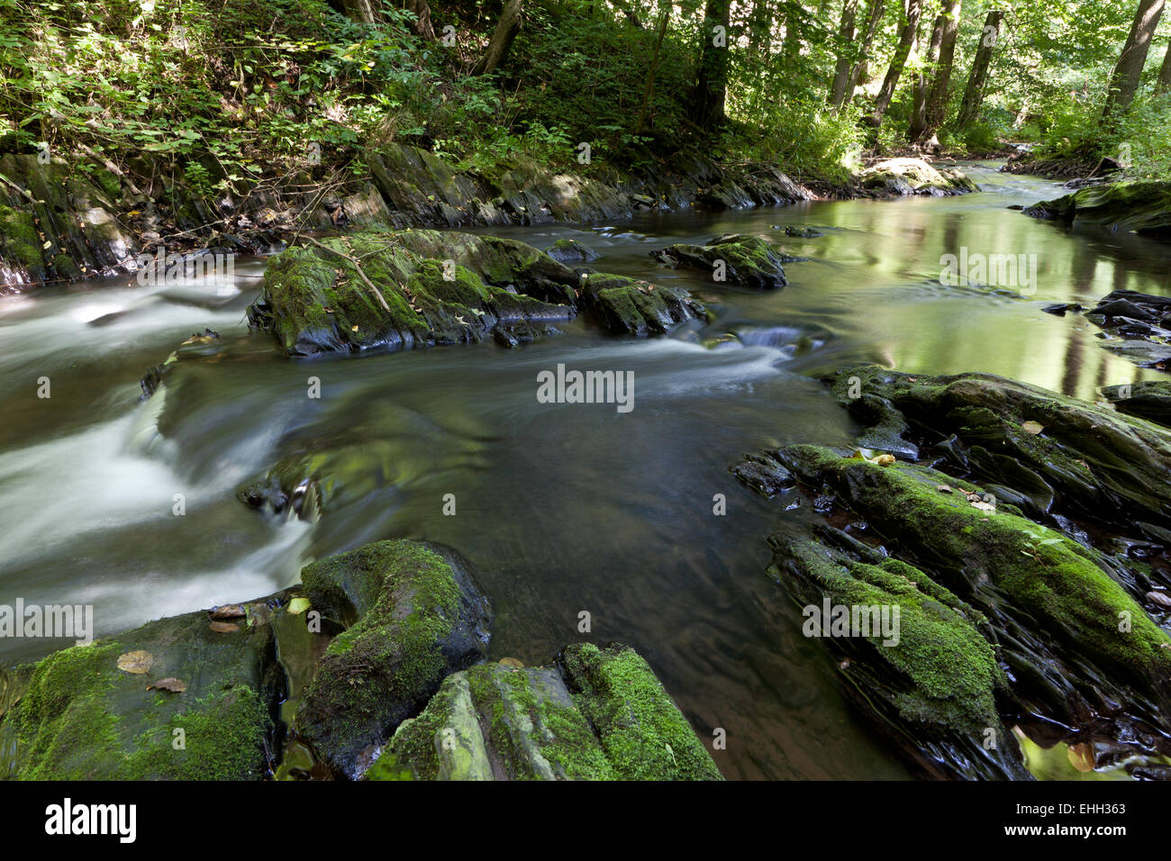 course of a stream Stock Photo - Alamy