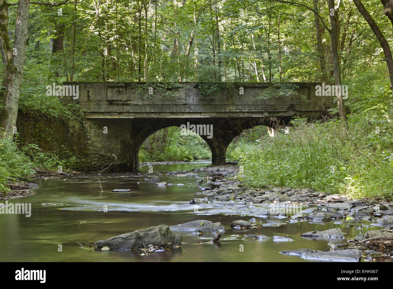 old brigde in the wood Stock Photo - Alamy