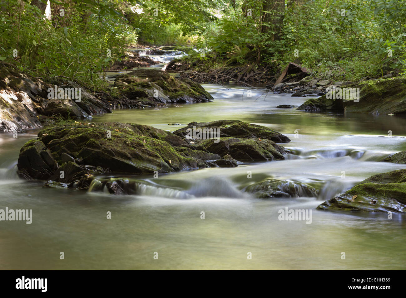 course of a stream Stock Photo - Alamy