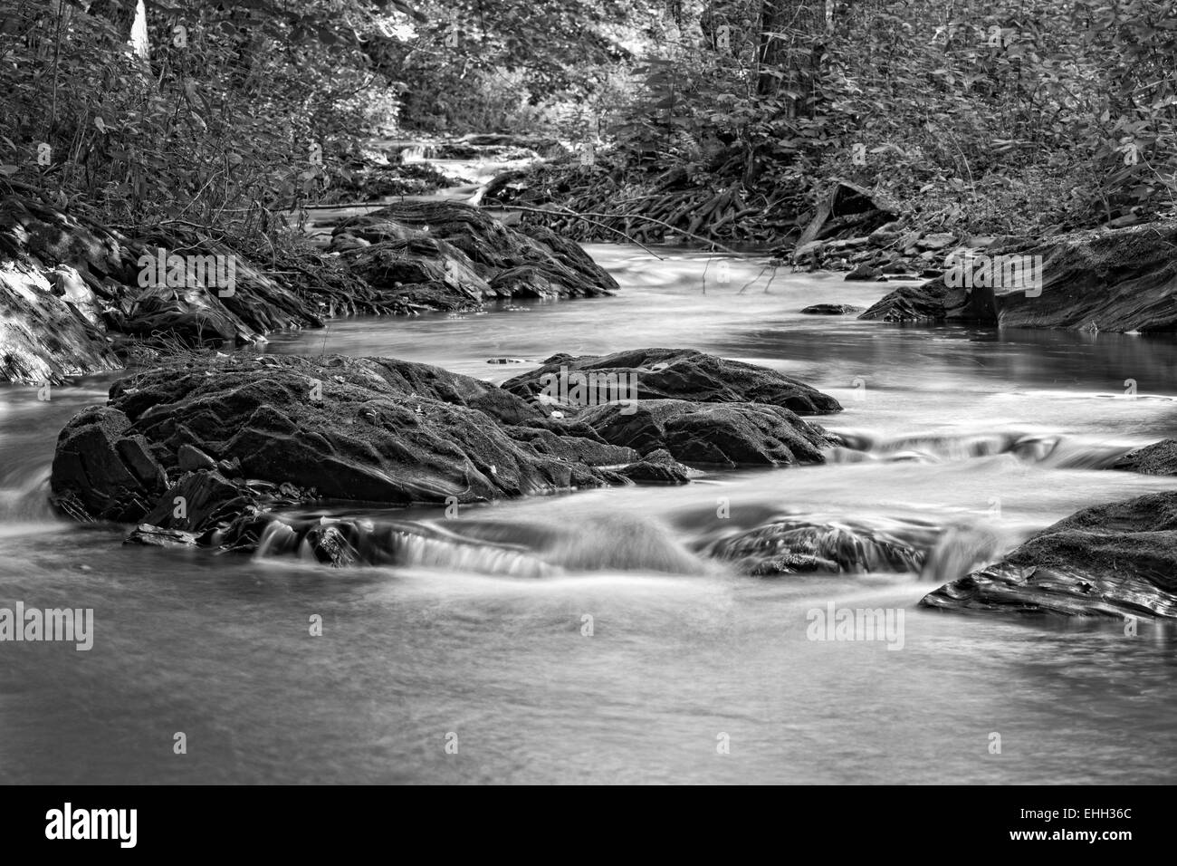 Bach course hi-res stock photography and images - Alamy