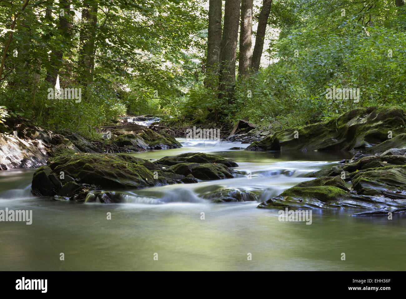 course of a stream Stock Photo - Alamy