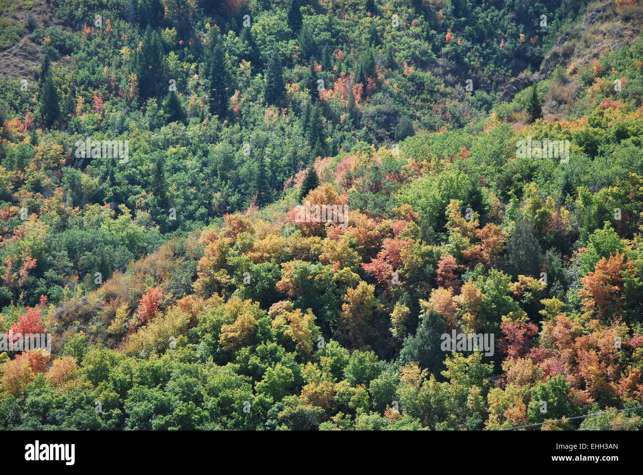 Begins fall hi-res stock photography and images - Alamy