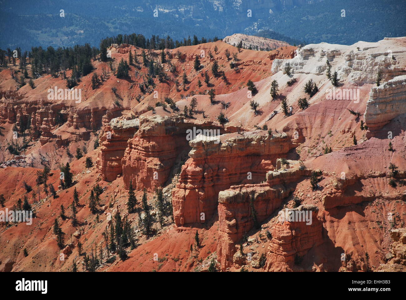 Cedar breaks nationalmonument hi-res stock photography and images - Alamy
