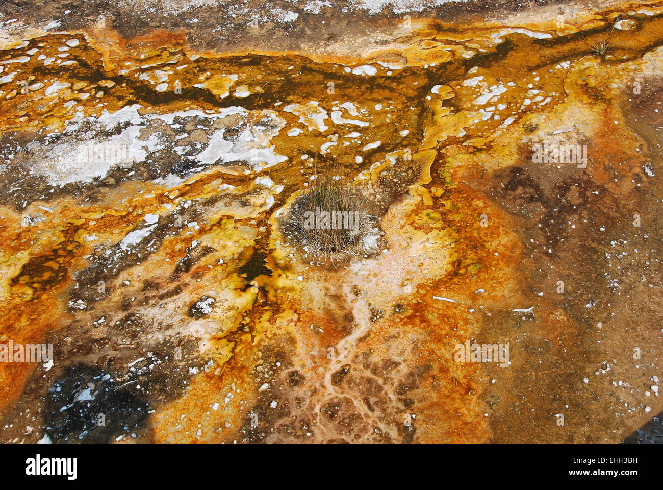 Colors of Yellowstone Stock Photo - Alamy