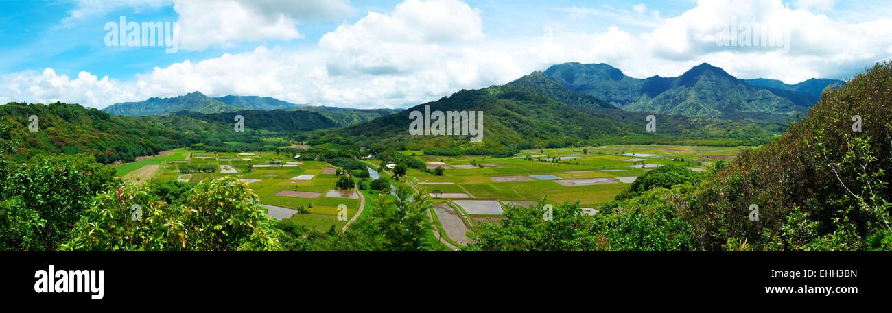 Taro river hi-res stock photography and images - Alamy