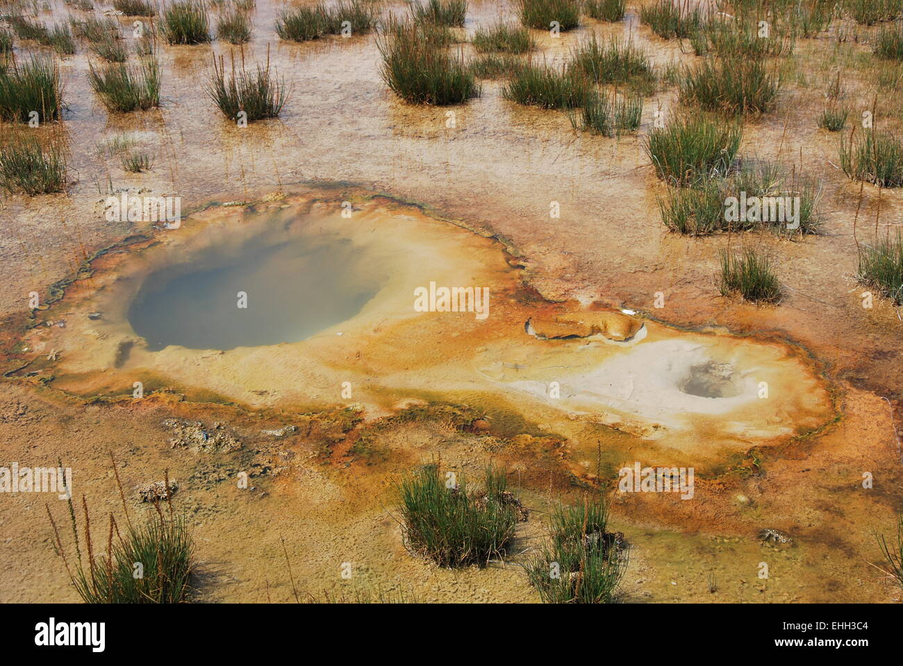 Colors of Yellowstone Stock Photo - Alamy