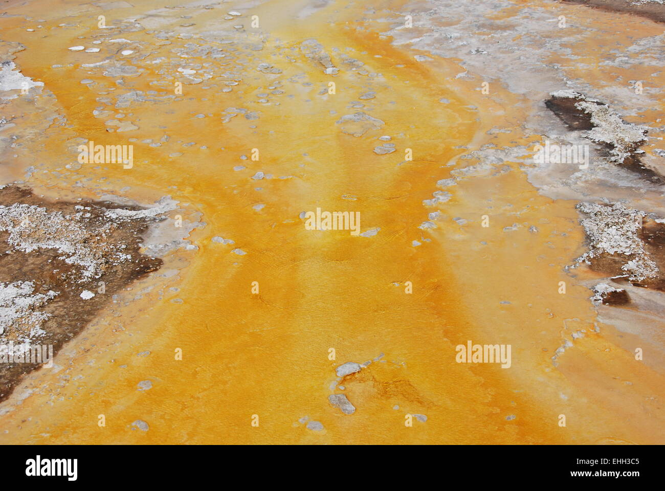 Colors of Yellowstone Stock Photo - Alamy