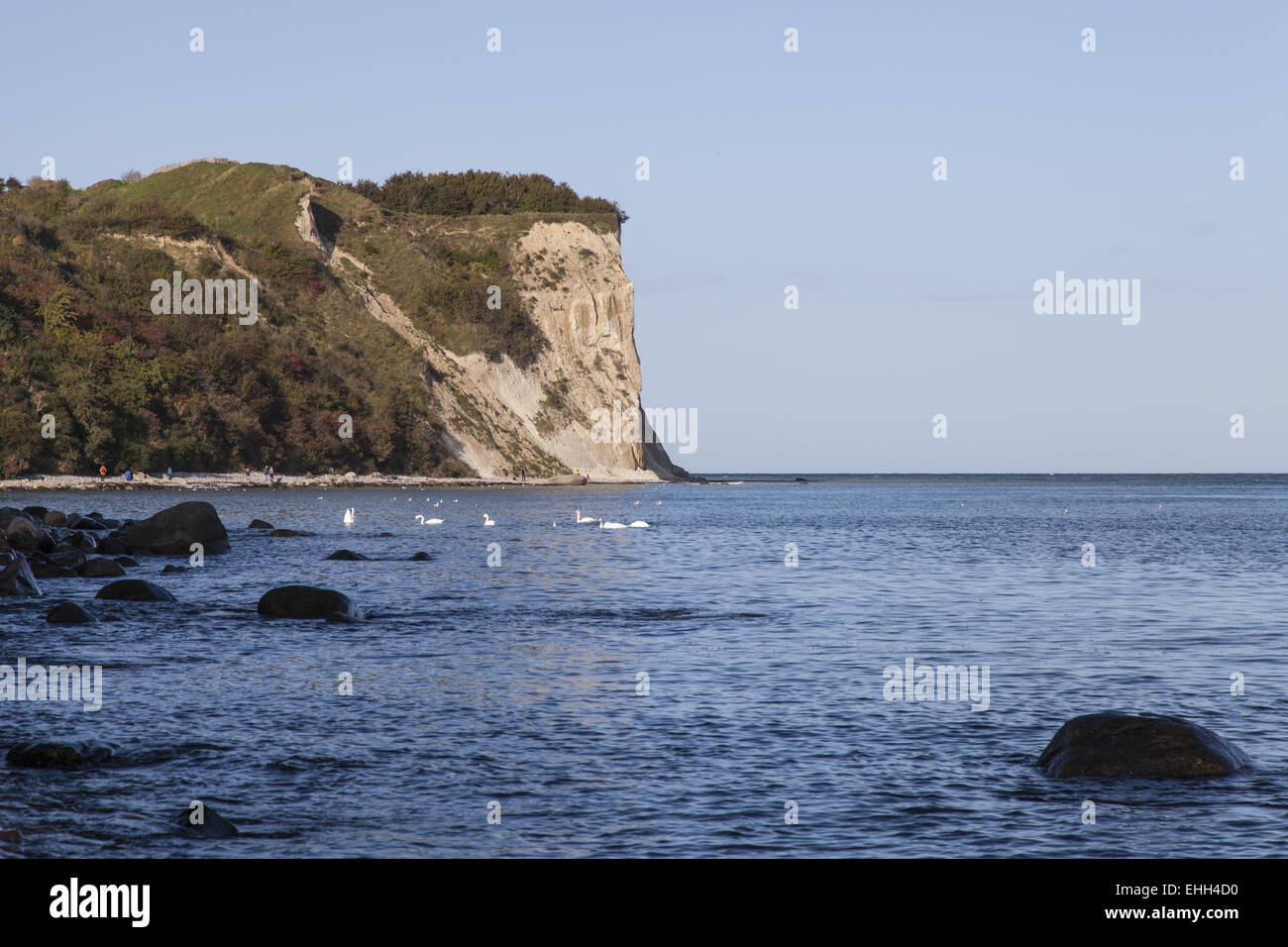Chalk cliffs of Rügen Stock Photo - Alamy