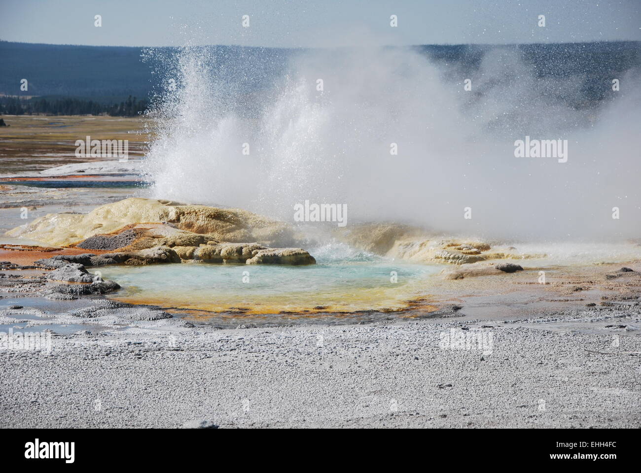 Geysers of Yellowstone Stock Photo - Alamy