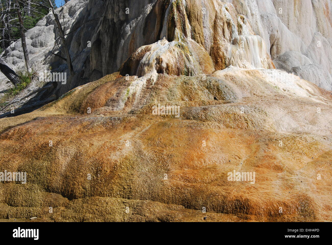 Yellowstone nationalparks hi-res stock photography and images - Alamy