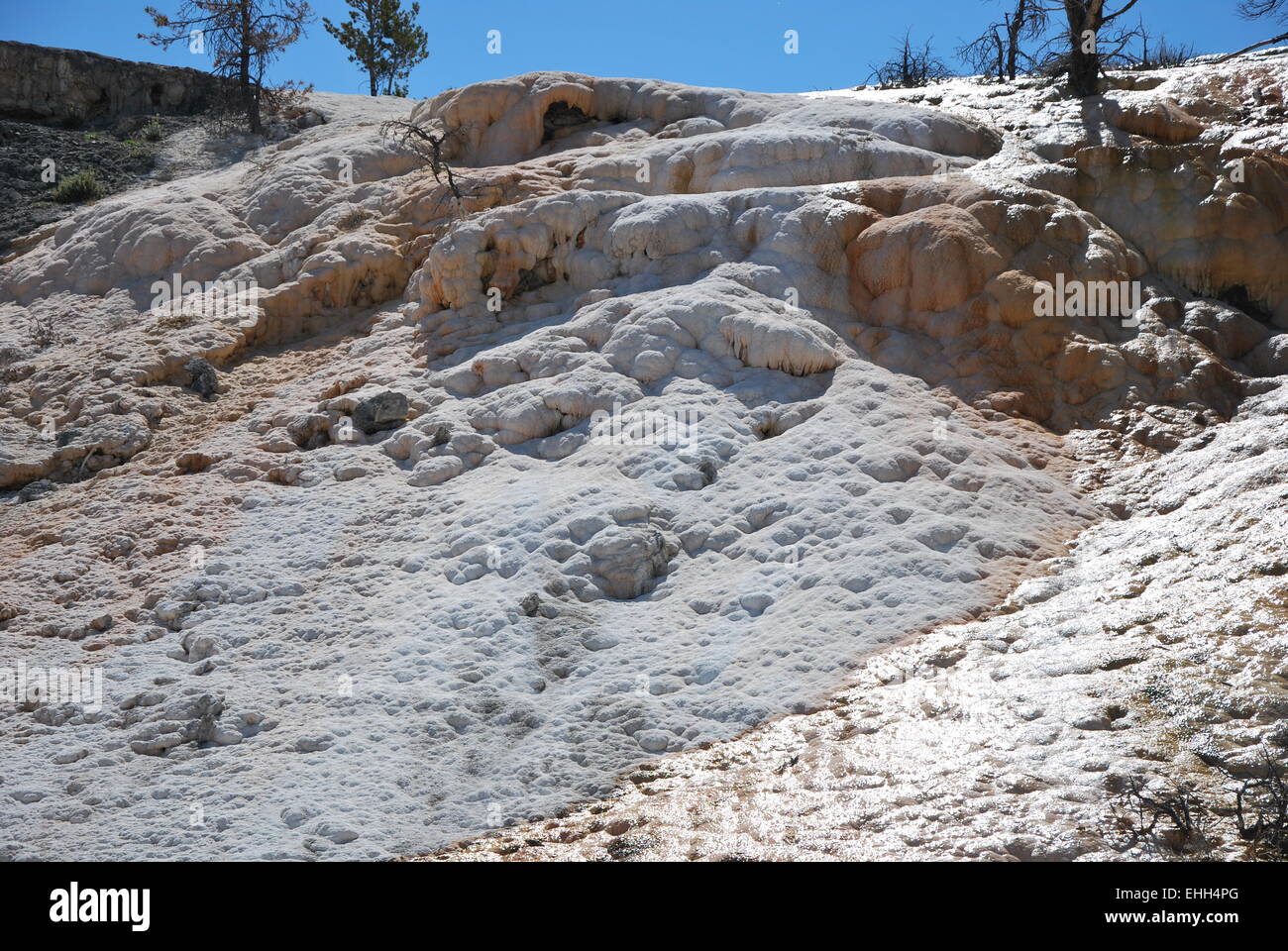Colors of Yellowstone Stock Photo - Alamy