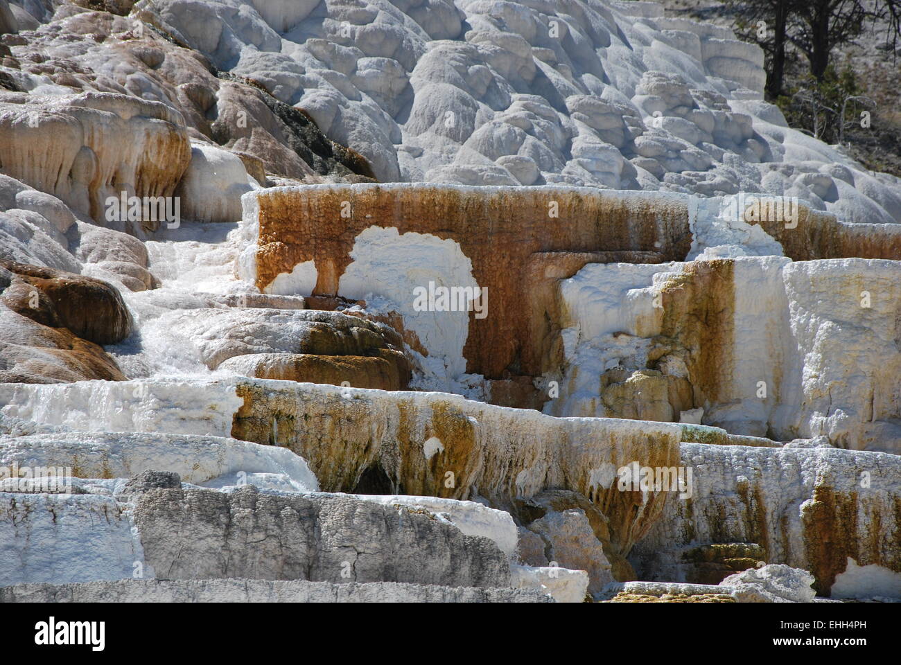 Colors of Yellowstone Stock Photo - Alamy