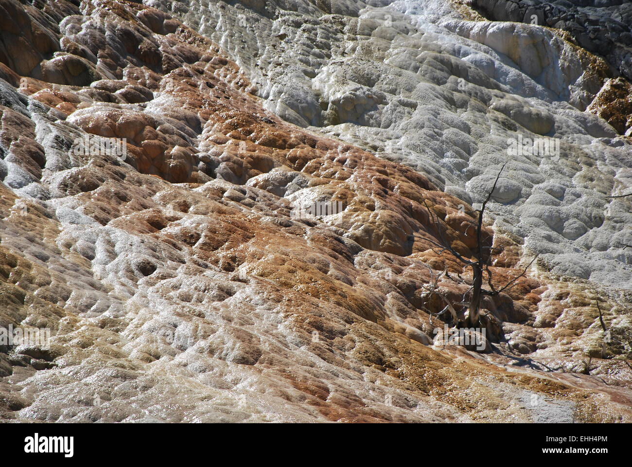 Colors of Yellowstone Stock Photo - Alamy