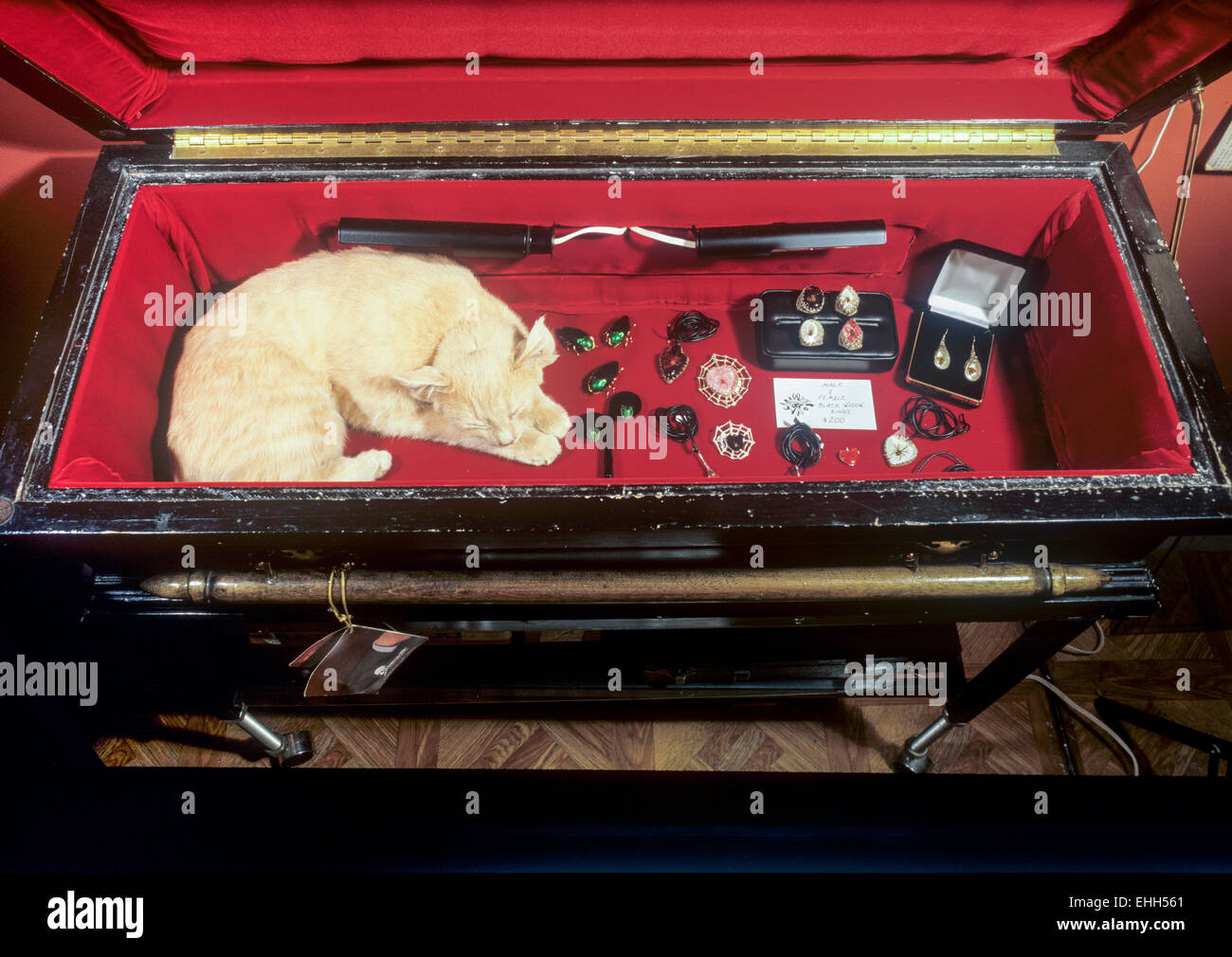 Necromance shop hi-res stock photography and images - Alamy