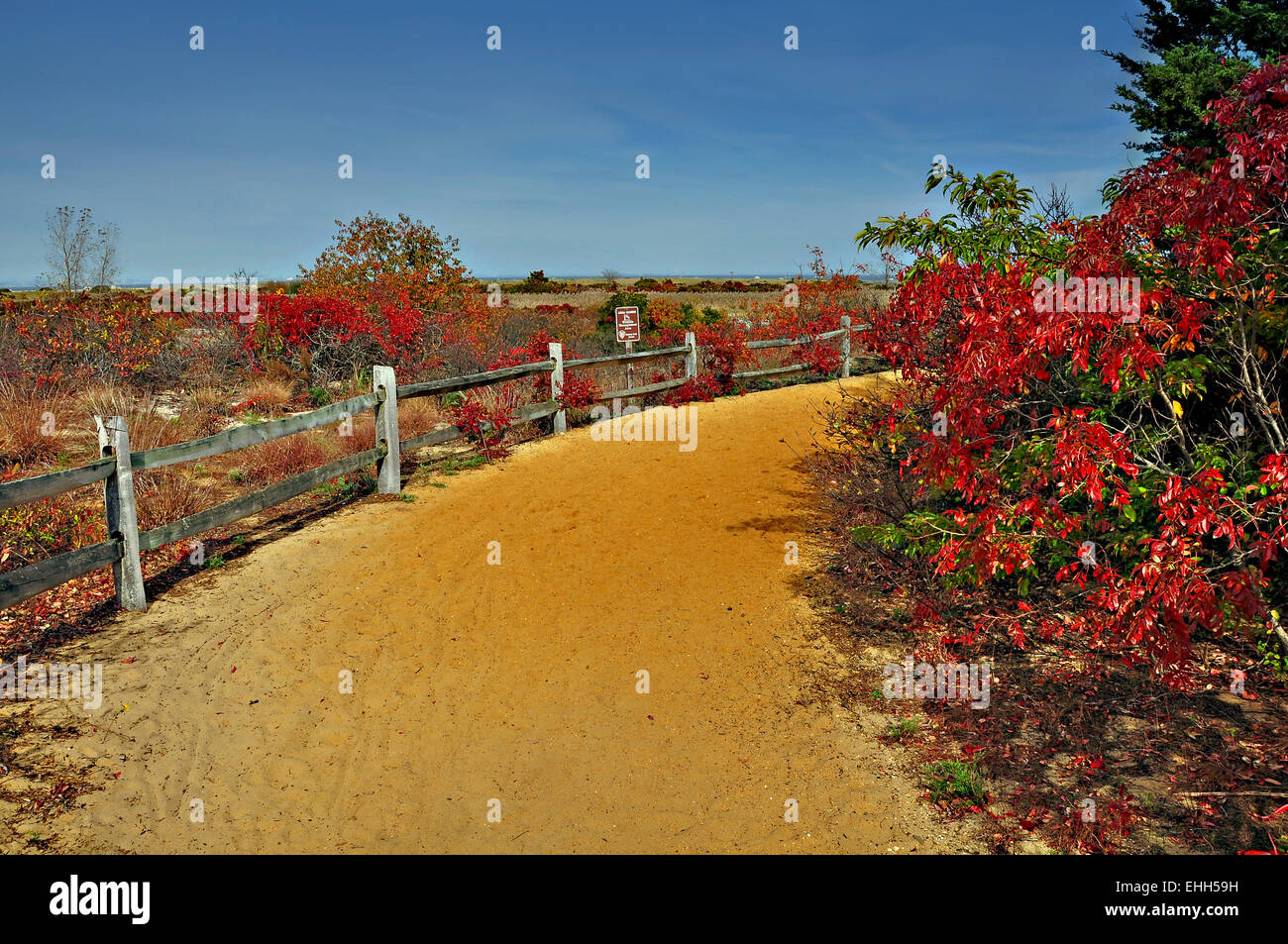 Sandy beach walkway at Sandy Hook New Jersey Stock Photo - Alamy