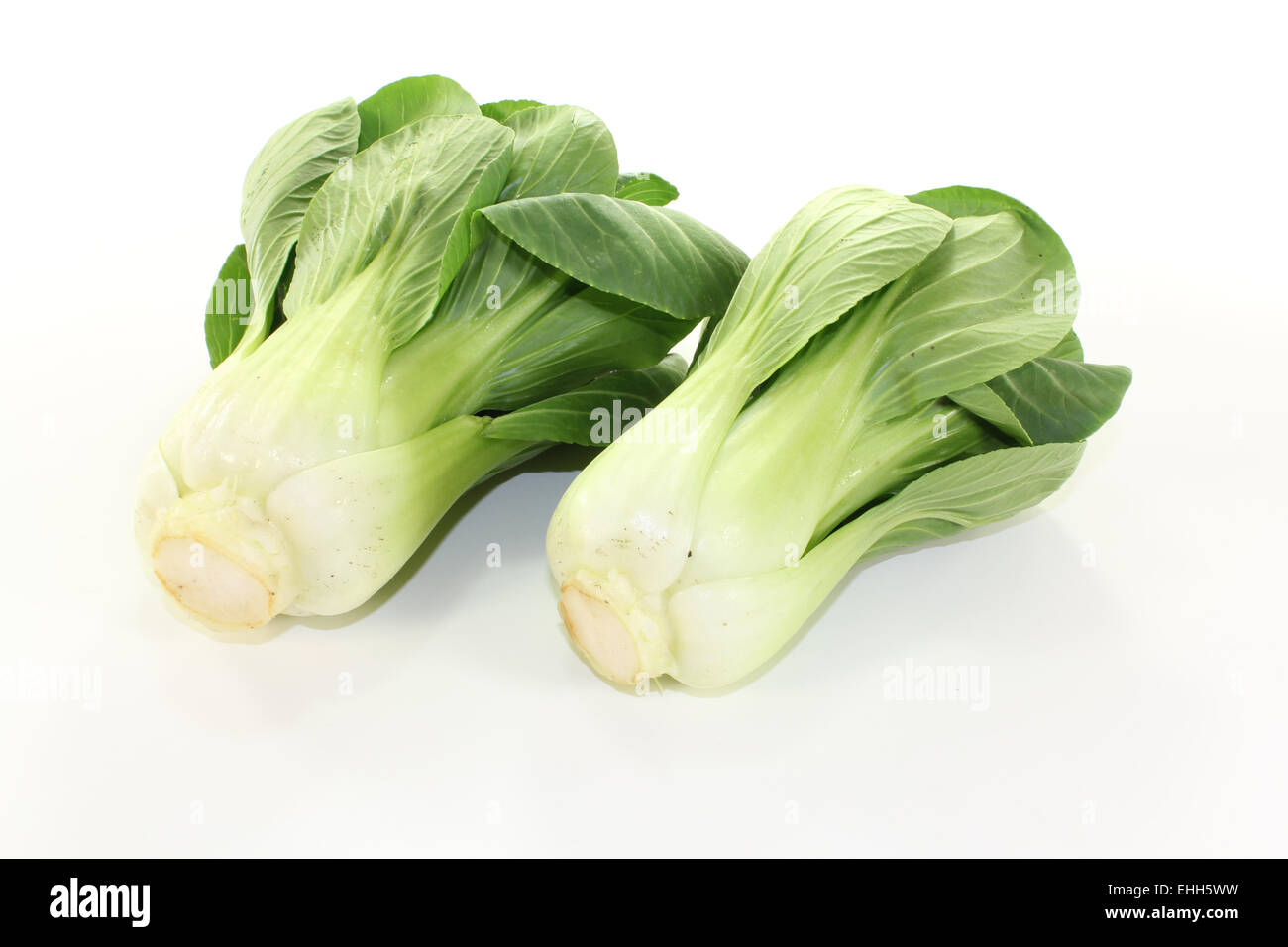 Baby leaf pak choi hi-res stock photography and images - Alamy