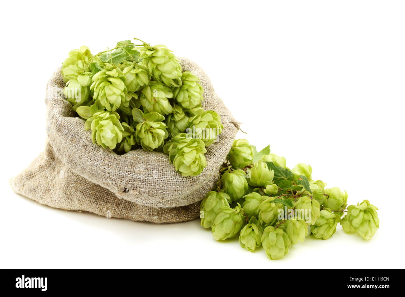 Hop sack hi-res stock photography and images - Alamy