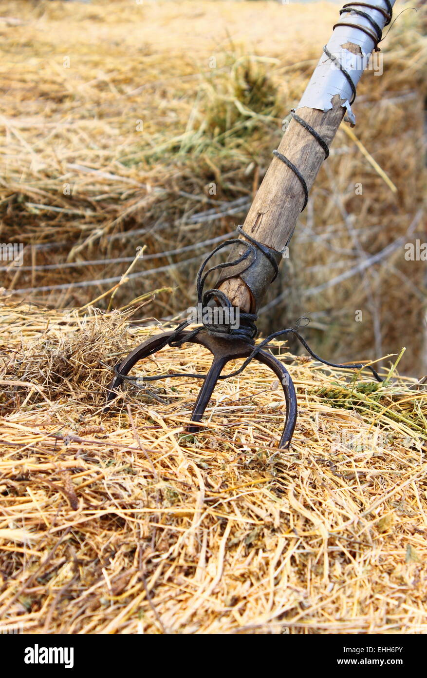 Hayfork hi-res stock photography and images - Alamy