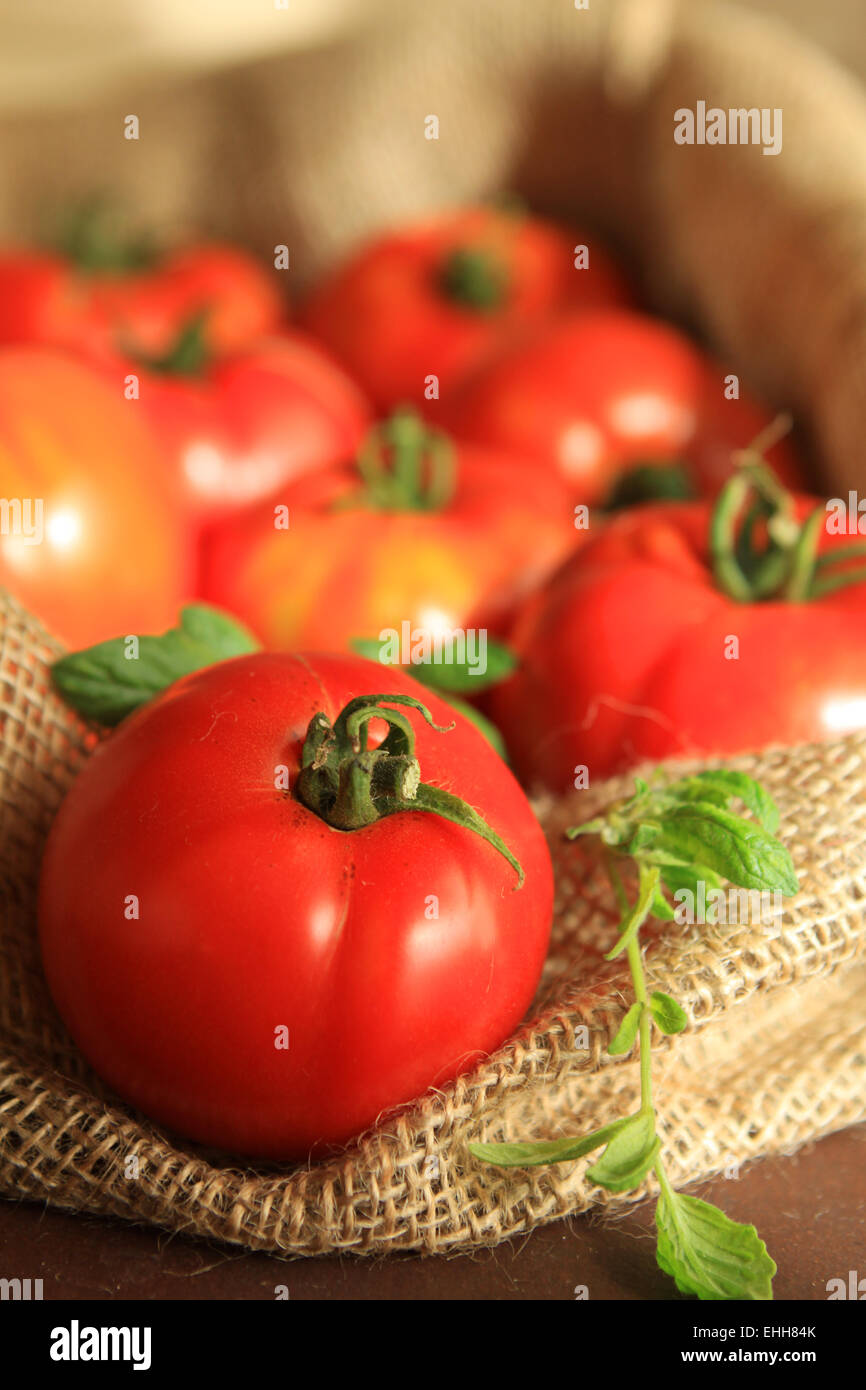 Tomato breeding hi-res stock photography and images - Alamy