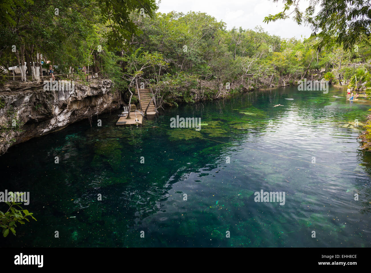 Open cenote with crystal transparent water, Tulum, Mexico Stock Photo ...