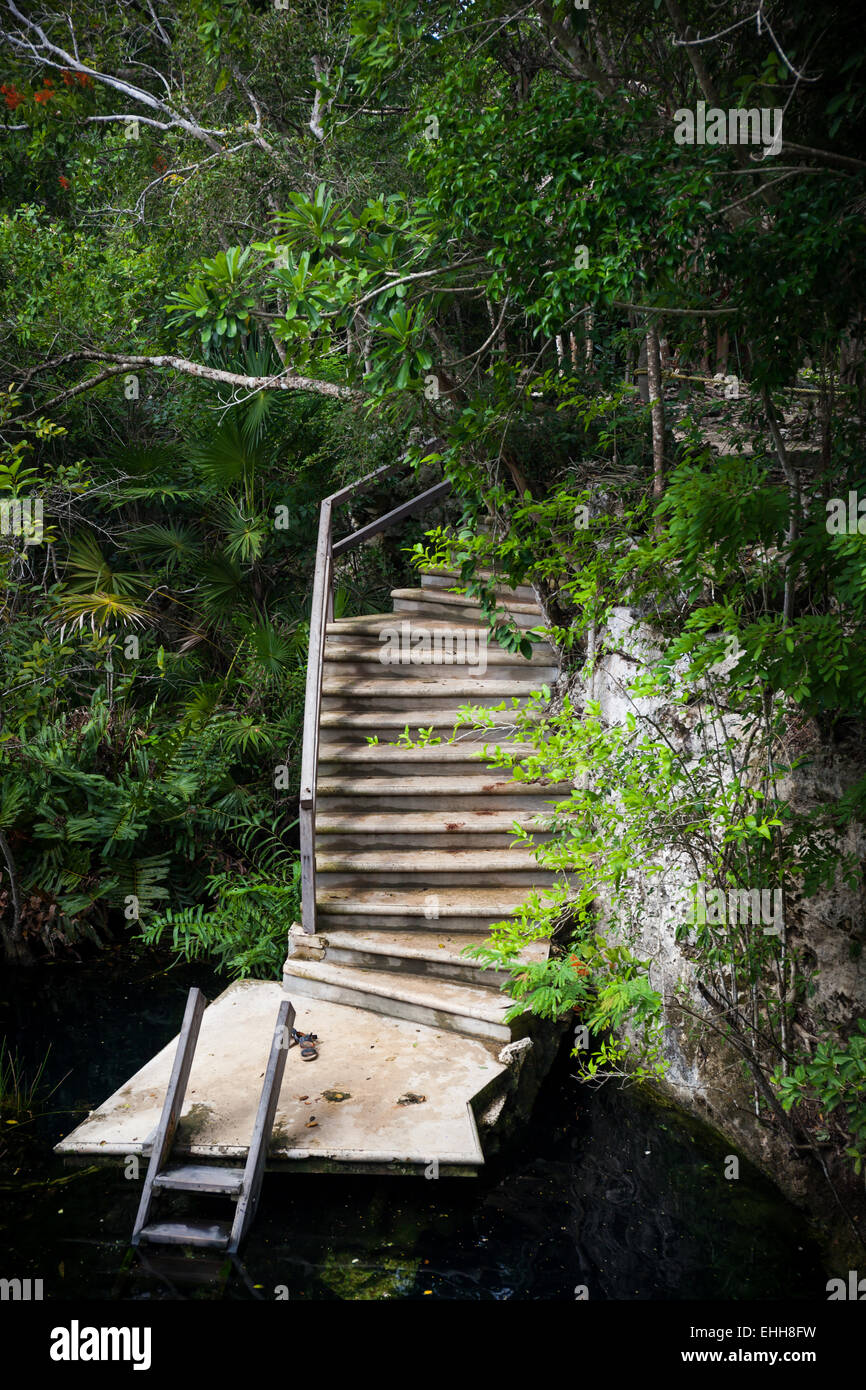 Open cenote with crystal transparent water, Tulum, Mexico Stock Photo ...
