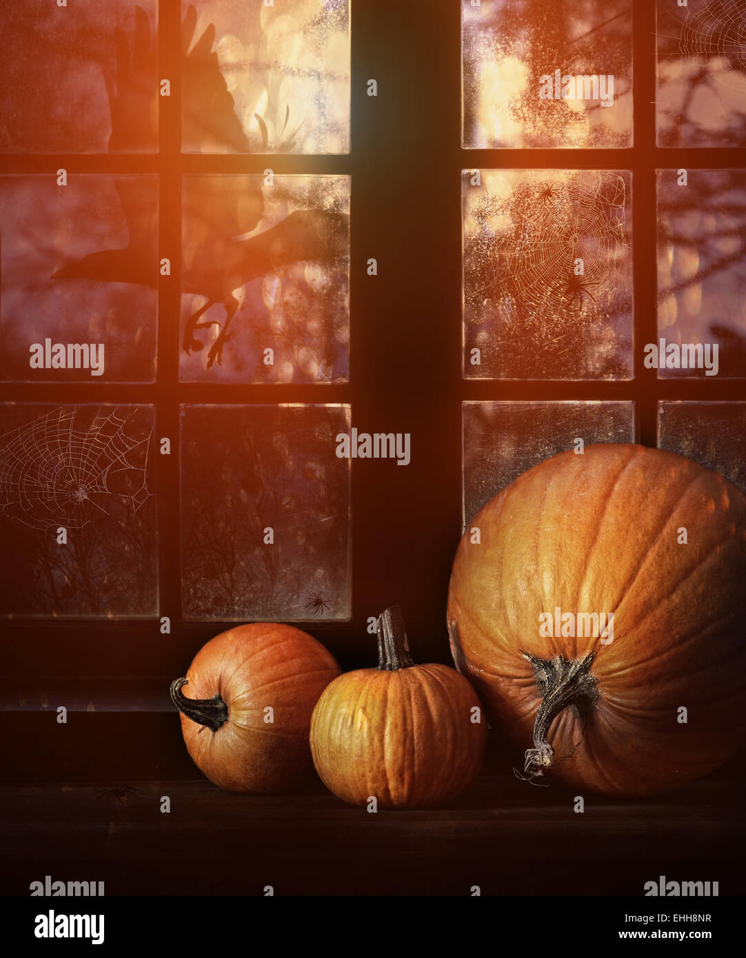 Different sized pumpkins in window Stock Photo - Alamy