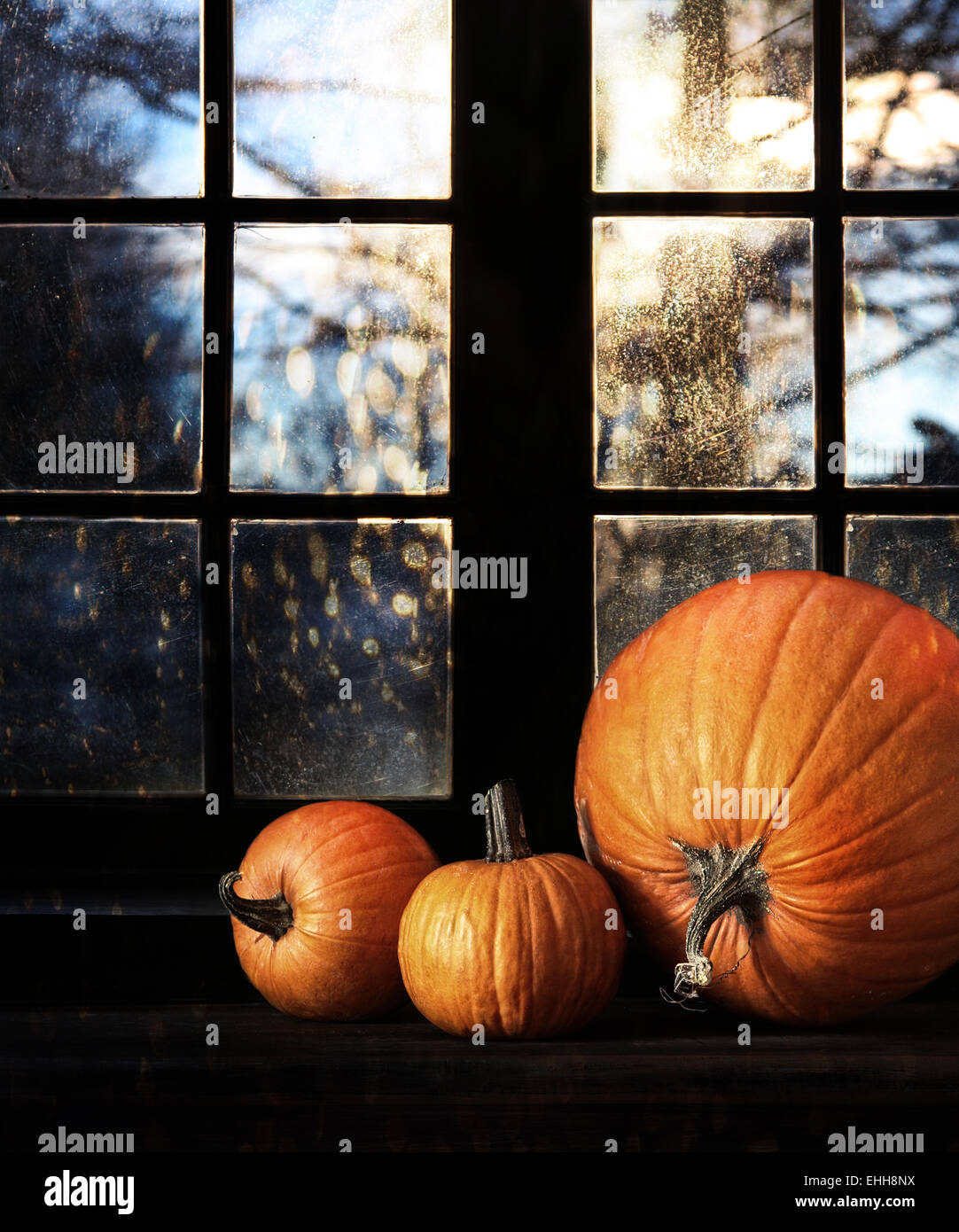 Different sized pumpkins in window Stock Photo - Alamy
