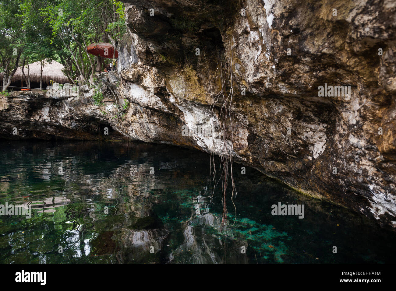 Open cenote with crystal transparent water, Tulum, Mexico Stock Photo ...