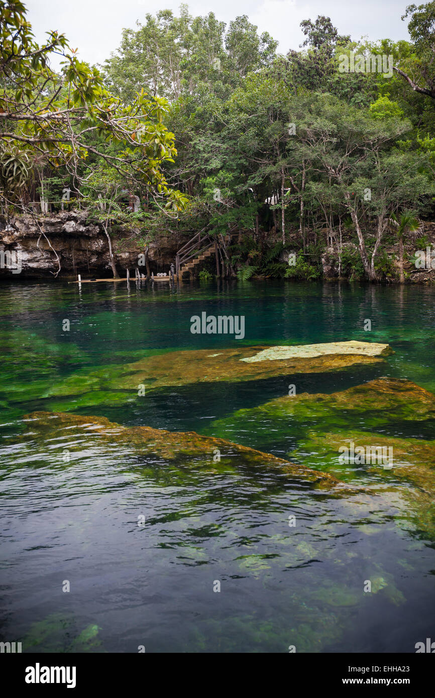 Open cenote with crystal transparent water, Tulum, Mexico Stock Photo ...