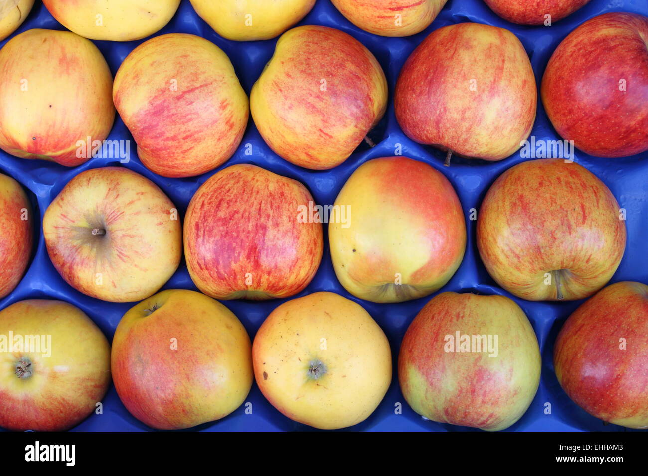 Multi colored apples hi-res stock photography and images - Alamy