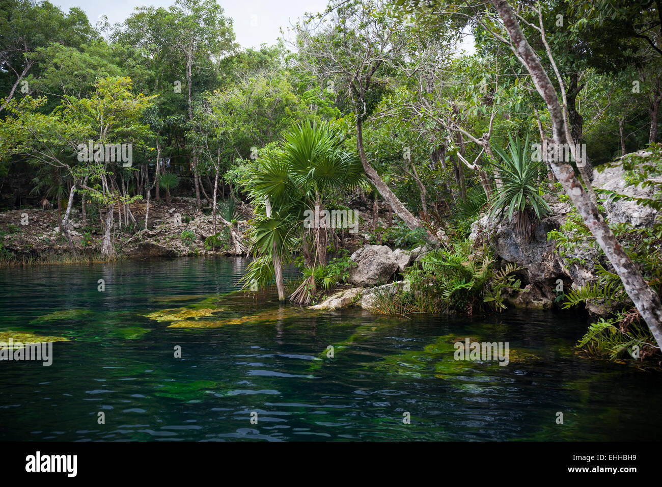 Cenote crystal open hi-res stock photography and images - Alamy