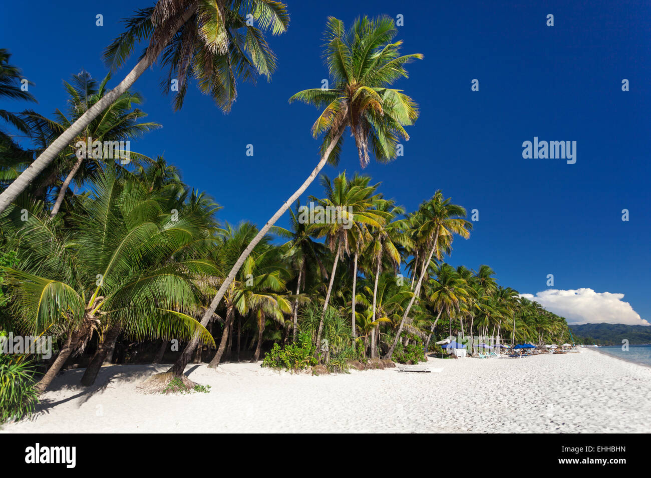 Coconut palm trees on tropical beach, Philippines, Boracay Stock Photo ...