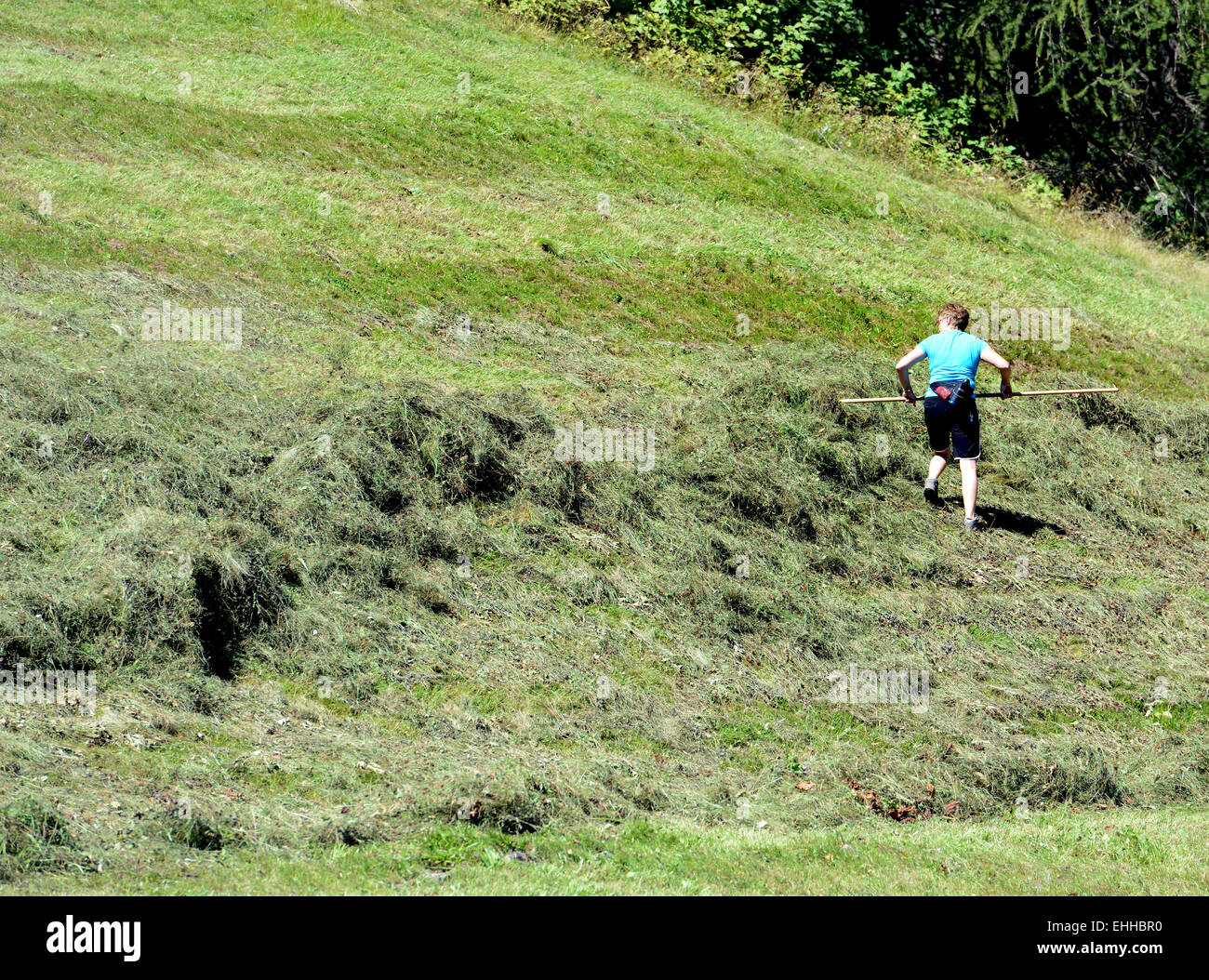 Heuernte High Resolution Stock Photography and Images - Alamy
