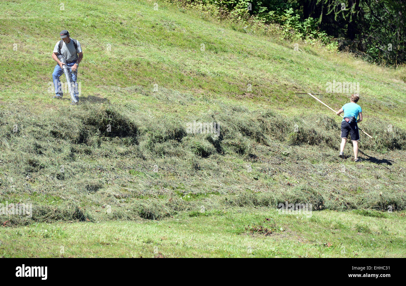 Heuernte High Resolution Stock Photography and Images - Alamy