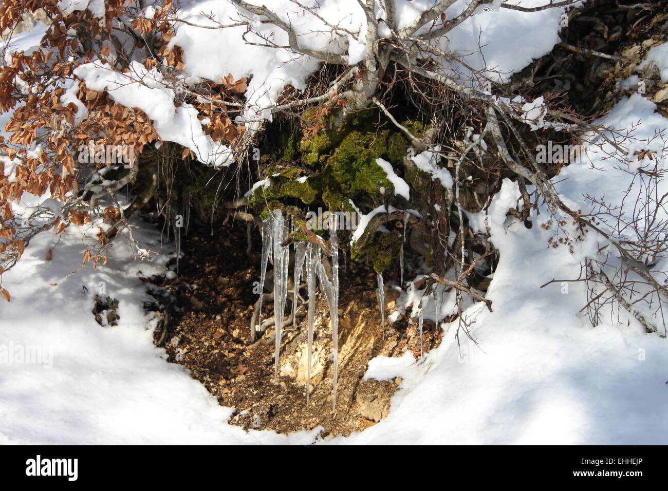 Unfreezing hi-res stock photography and images - Alamy