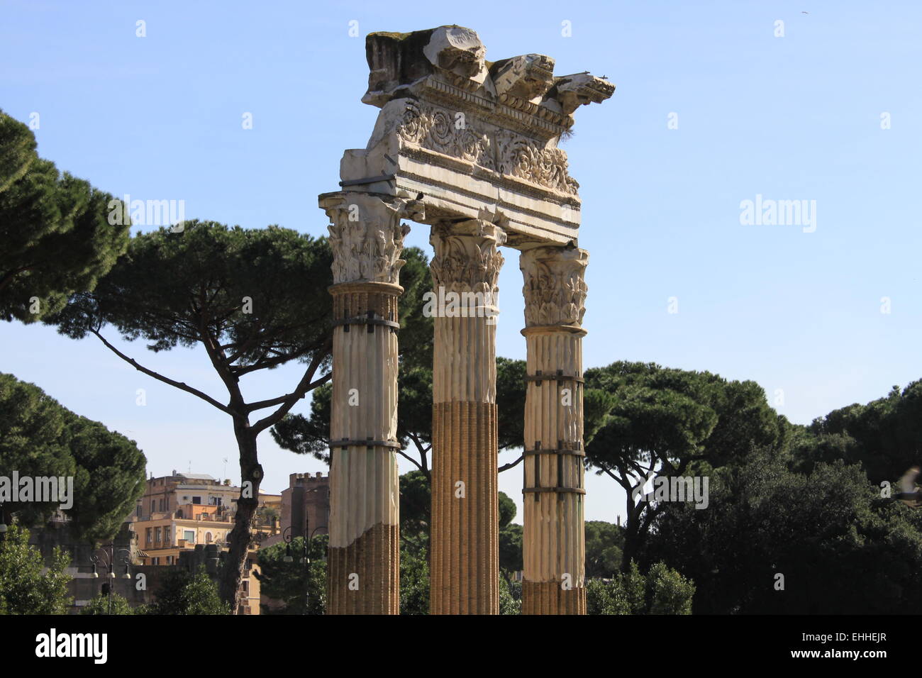 Ancient columns in the Roman Forum of Rome Stock Photo - Alamy