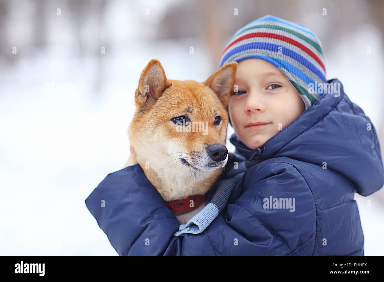 boy and a cute dog concept of friendship Stock Photo - Alamy