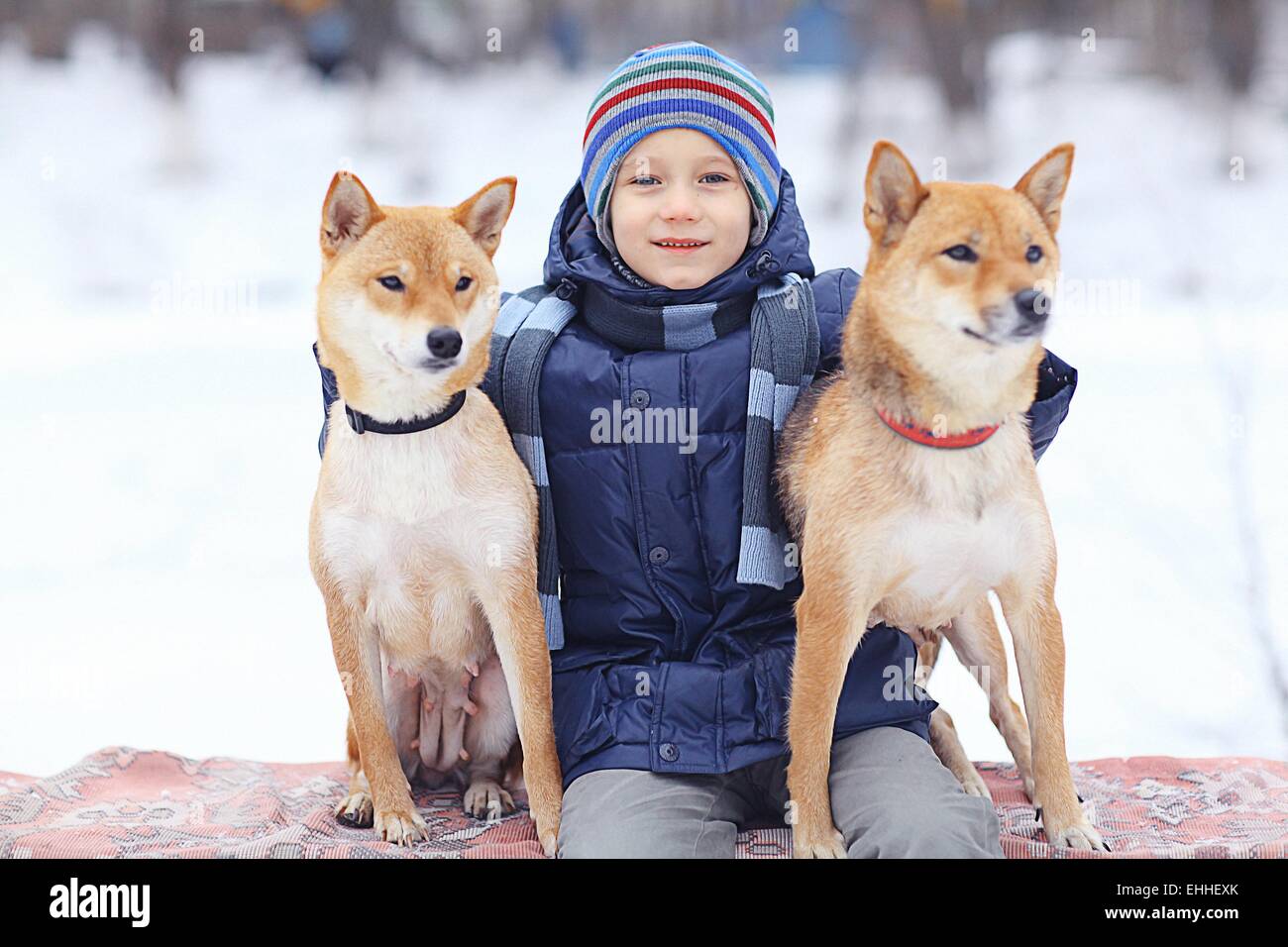 boy and a cute dog concept of friendship Stock Photo - Alamy