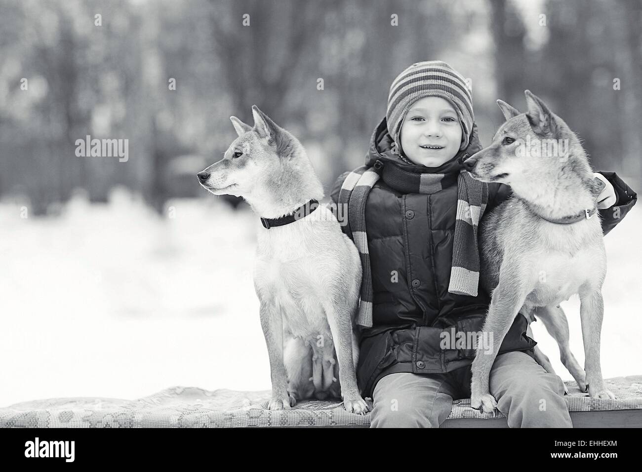 children and dogs concept of friendship loyalty Stock Photo - Alamy