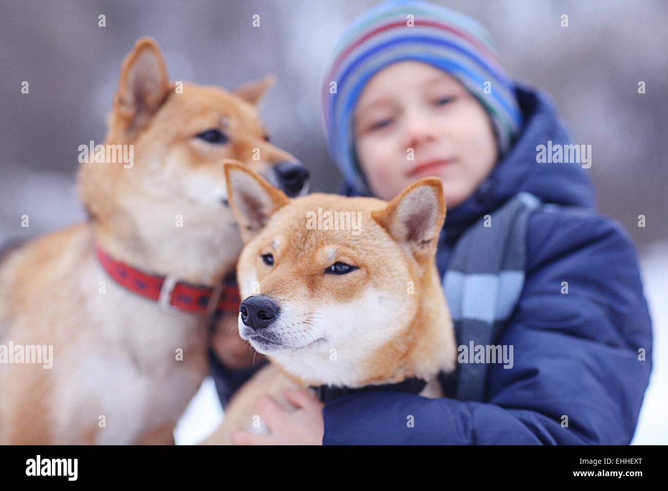 children and dogs concept of friendship loyalty Stock Photo - Alamy