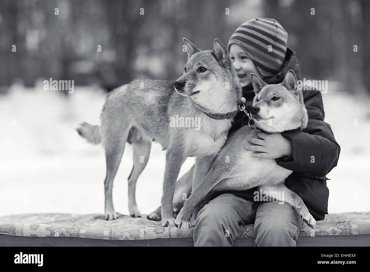 children and dogs concept of friendship loyalty Stock Photo - Alamy